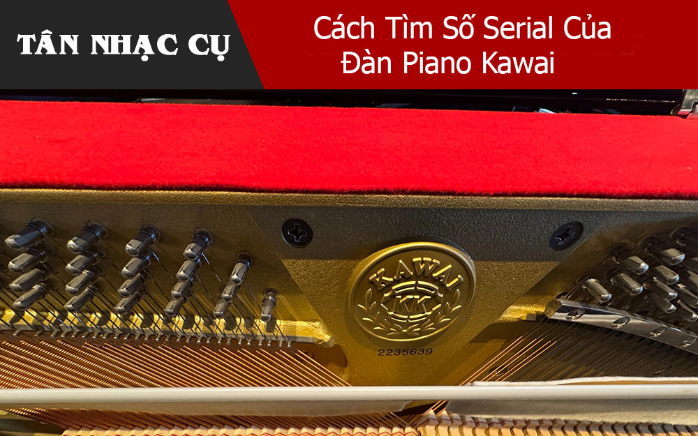 Cách Tìm Số Serial Của Đàn Piano Kawai – TÂN NHẠC CỤ