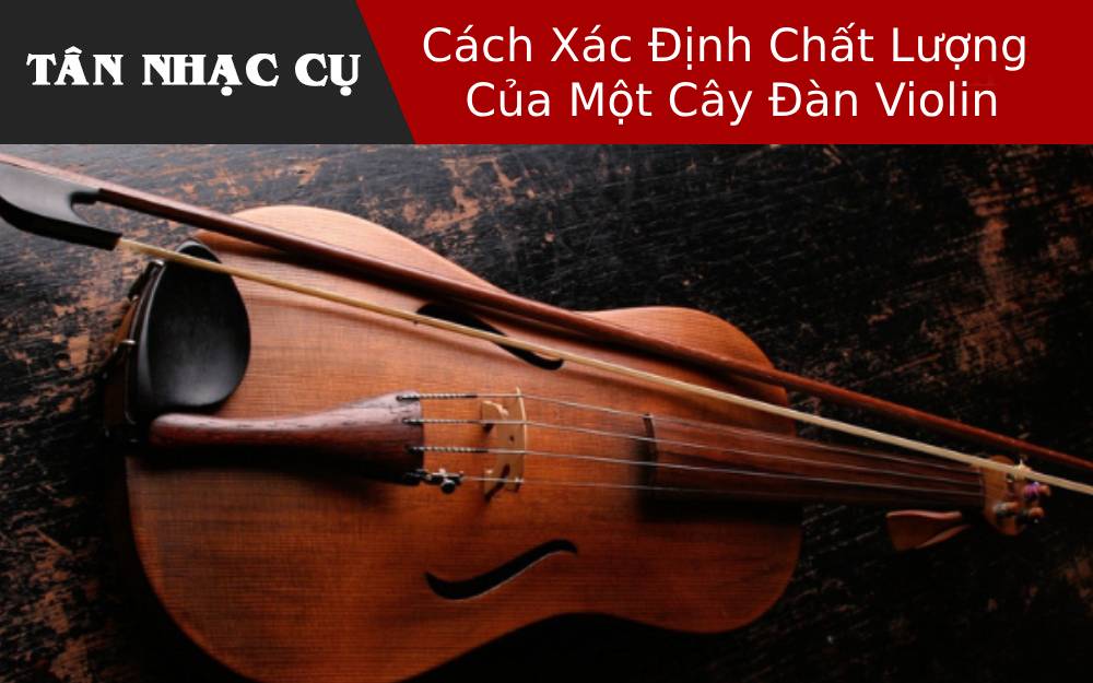 Cách Xác Định Chất Lượng Của Một Cây Đàn Violin – TÂN NHẠC CỤ