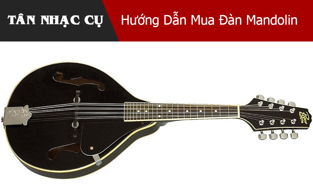 Hướng Dẫn Mua Đàn Mandolin – TÂN NHẠC CỤ