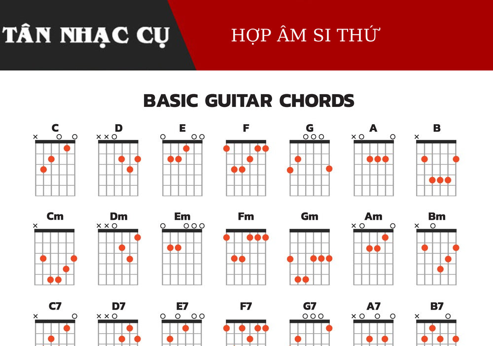 Cách Bấm Hợp Âm Si Thứ - Bm Trên Đàn Guitar – TÂN NHẠC CỤ