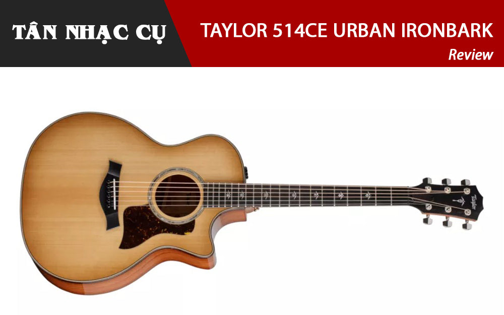 Đánh Giá Taylor 514ce Urban Ironbark Grand Auditorium – TÂN NHẠC CỤ