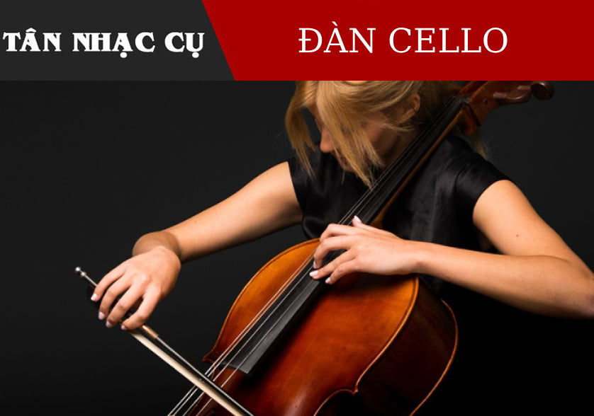 Đàn Cello – TÂN NHẠC CỤ